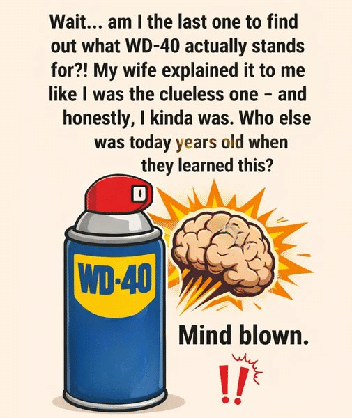 The Real Meaning Behind WD-40 Shocks a Lot of People – BeautifulStories