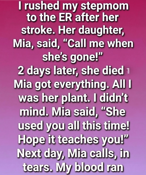 A Jade Plant’s Secret: How Silent Acts of Love, Misunderstood Motives, and a Hidden Message ...