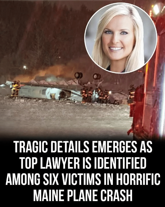 New Details Surface After Six People Die in Devastating Plane Crash ...